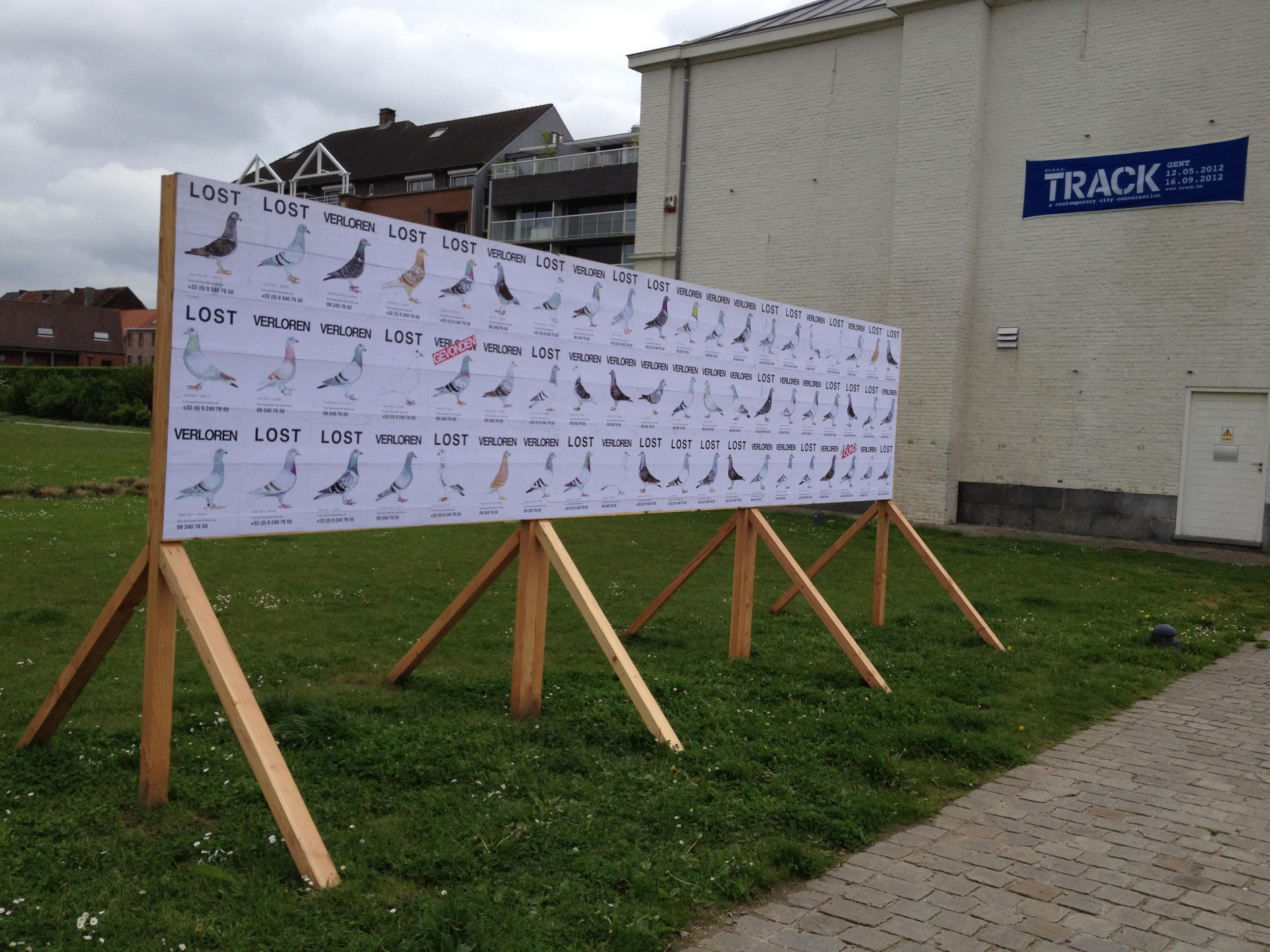 Pilvi Takala — Lost Pigeons